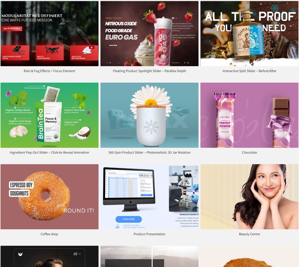 Access to Download all Sliders - Slider Revolution Templates